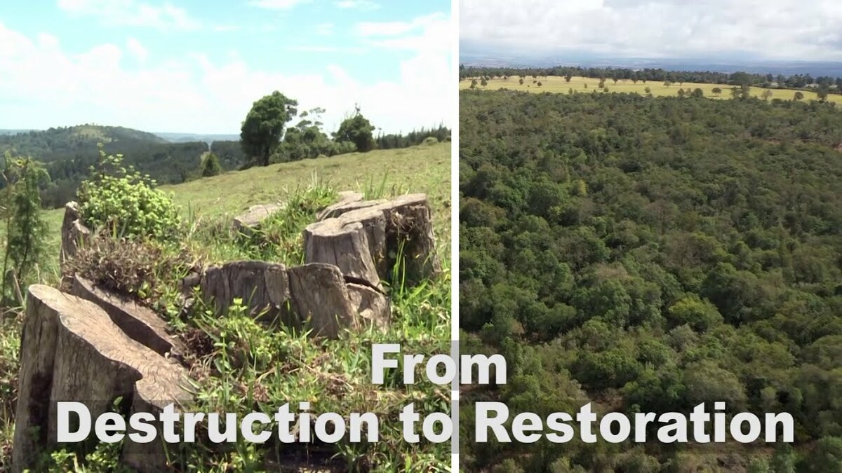 Blog | New Life Fellowship Church