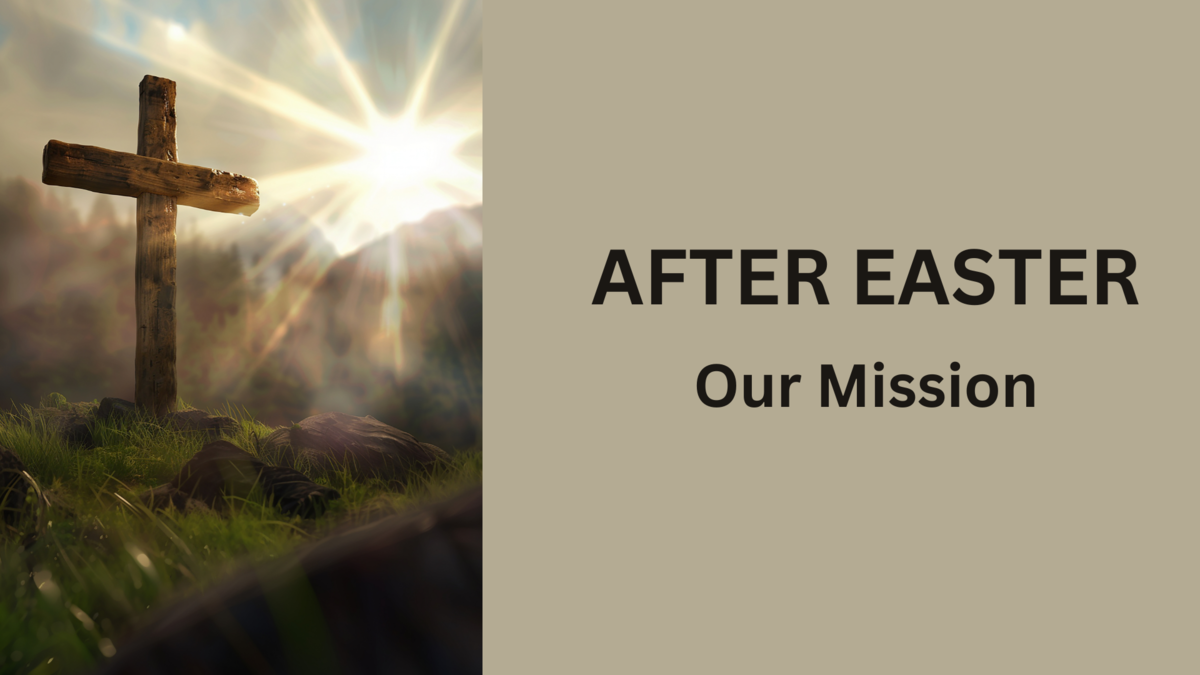 Blog | Shady Oaks Baptist Church