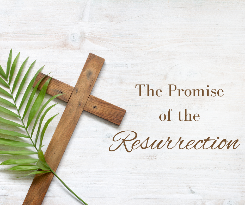 Blog | Harvest Bible Church