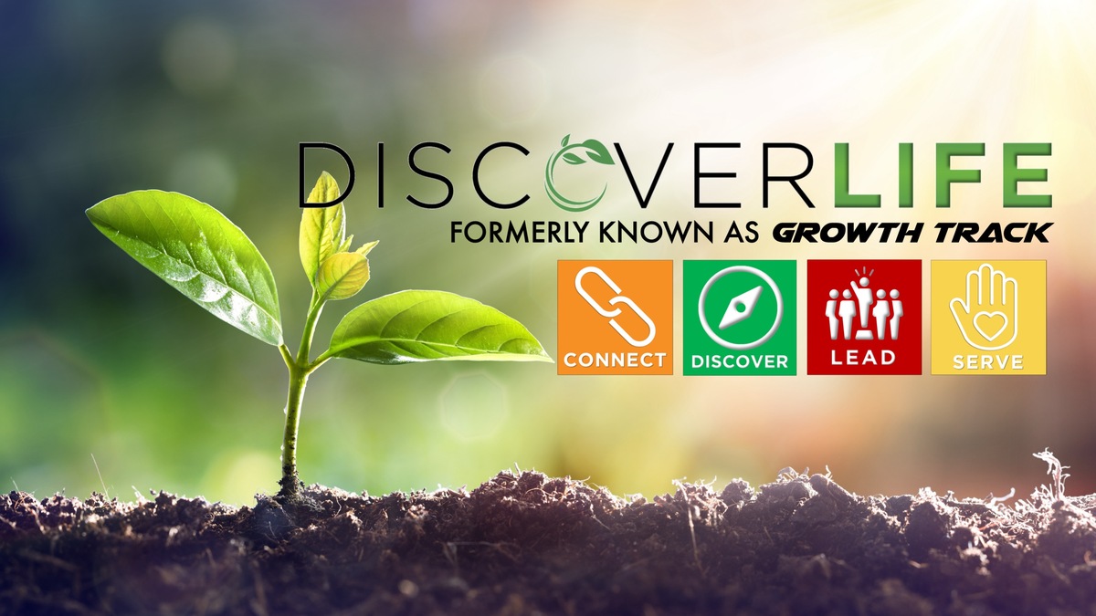 Discover Life | Life Church