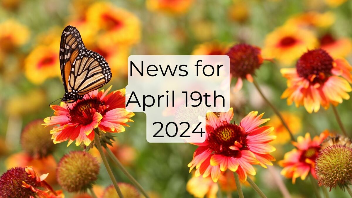 News for April 19th 2024 | Central Fellowship Baptist Church