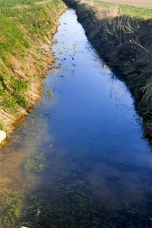 Blog | Christ Church Anglican