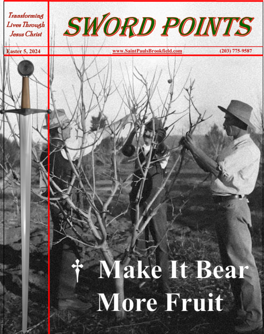 St. Paul's Sword Points for Easter 5 B | St. Paul's Parish