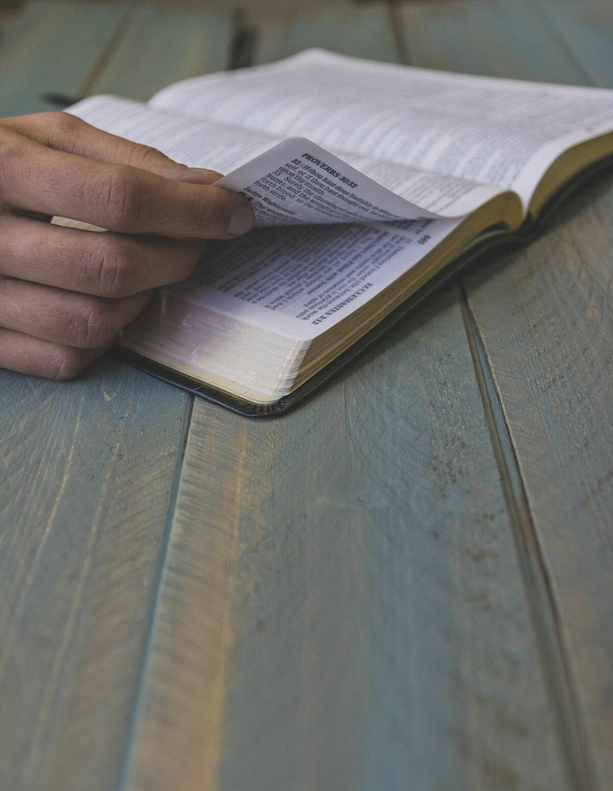 Redeemer Reporter | Redeemer Lutheran Church in Greer, SC