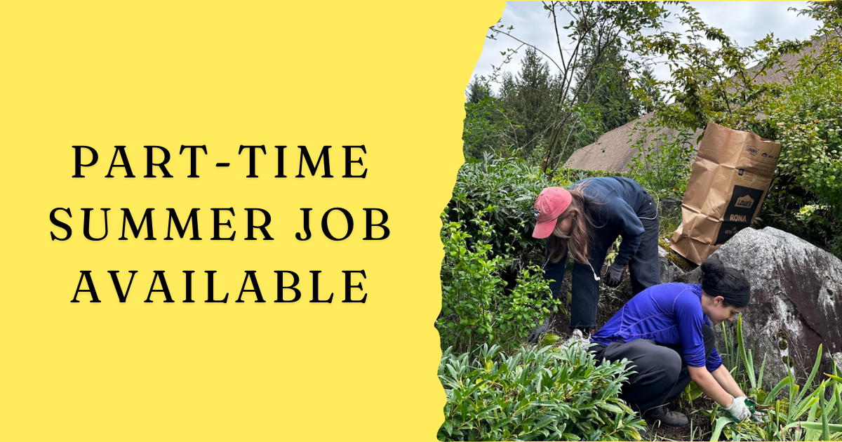 1 Summer Student Maintenance position - Filled | St. Catherine's Church