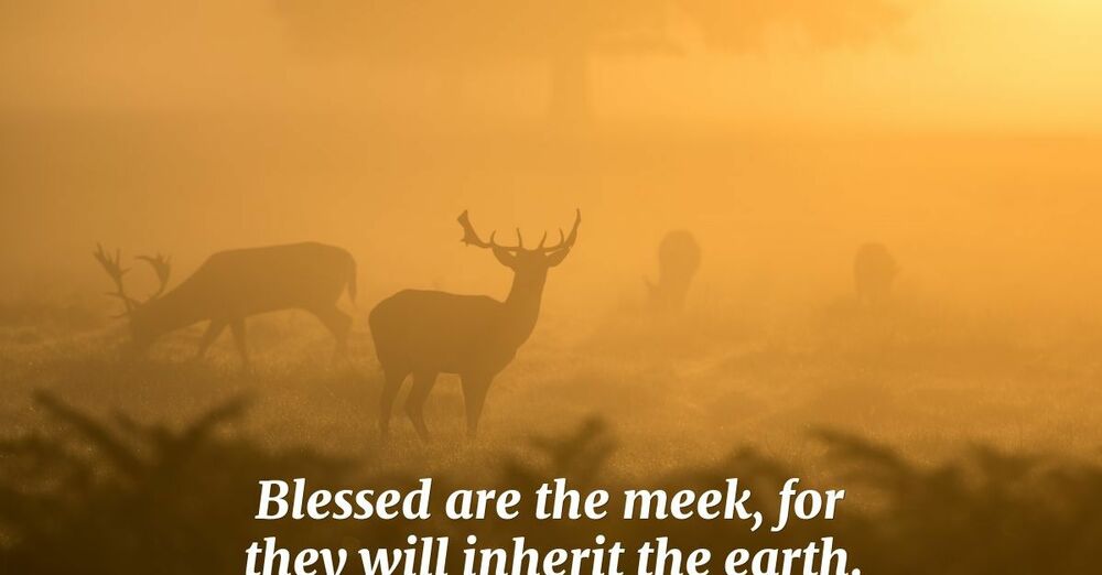 Central Valley Church of Christ