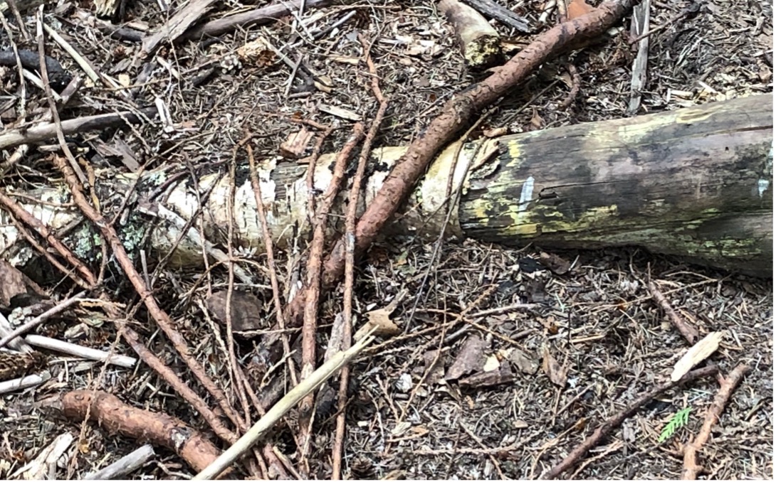 Blog | Holy Trinity Cathedral