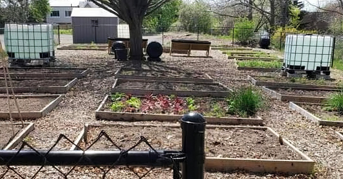 Community Garden Plots Are Available (for details click here) | St ...