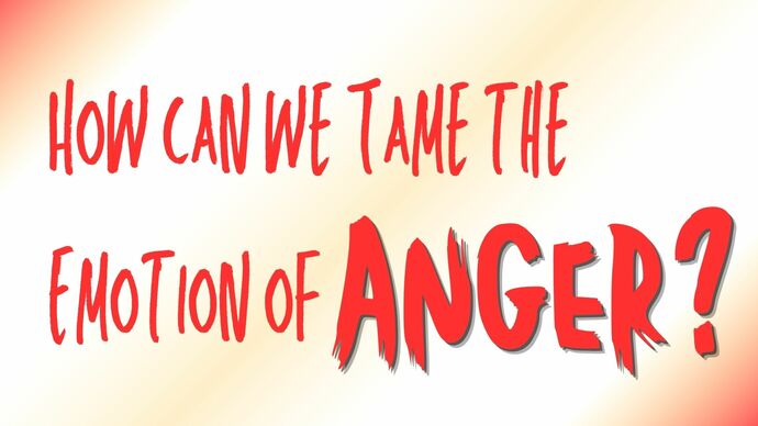 How Can We Tame the Emotion of Anger? | Anger | PVBC Sermons