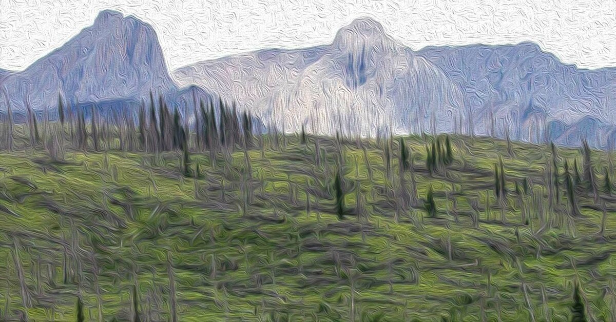 Prayer of Comfort and Hope for Jasper Community | St. Mary & St. George ...