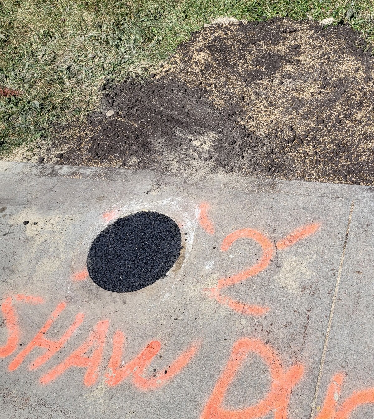 First signs of the LID installation | Rewilding | St. Augustine's ...