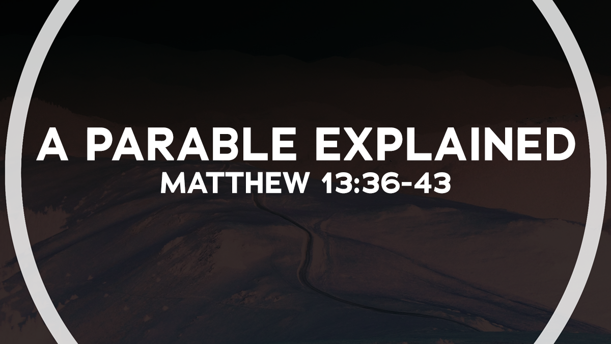 Blog | Reveal Church PD