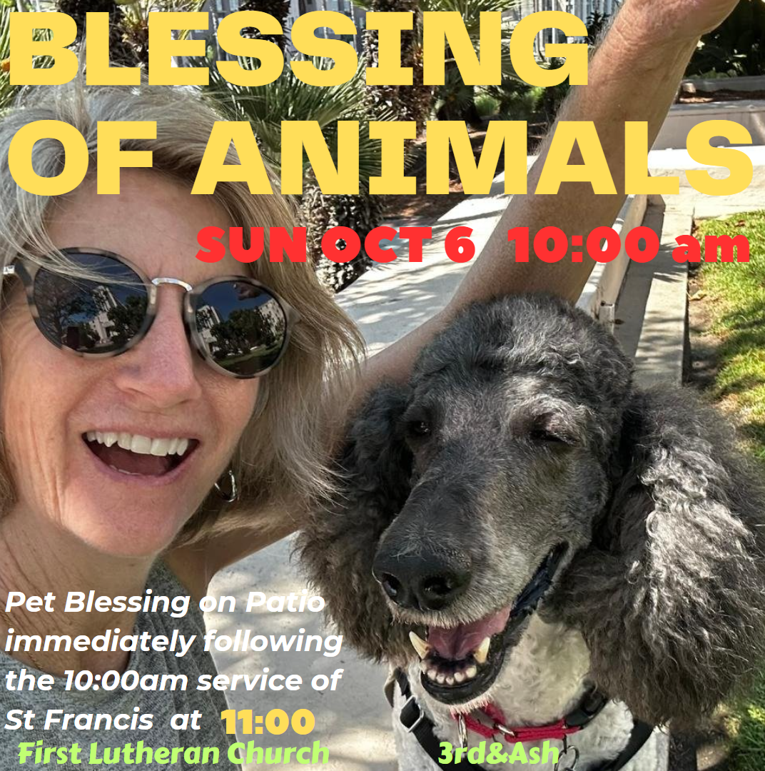 Annual Blessing of the Animals | First Lutheran Church