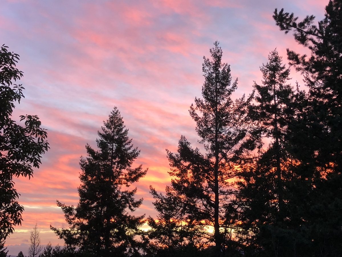 All Souls Evensong | Holy Trinity Cathedral
