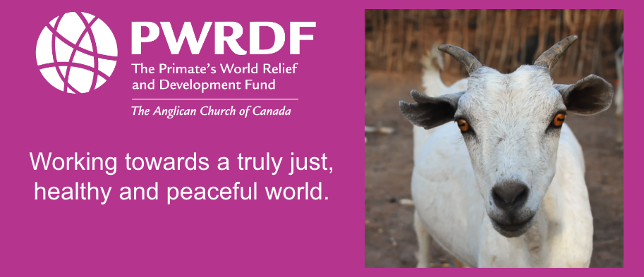 PWRDF New Name, World of Gifts and Christmas Cards | Christ Church ...