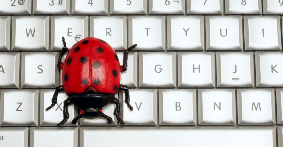 Computer bug squashed | St. Peter's Anglican Church