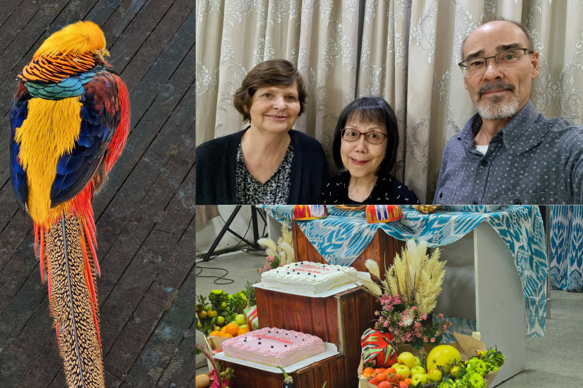 Missions Highlight - Don & Betty | Fraser Lands Church
