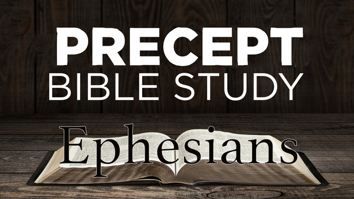 Precept Studies | Rowland Springs Baptist Church