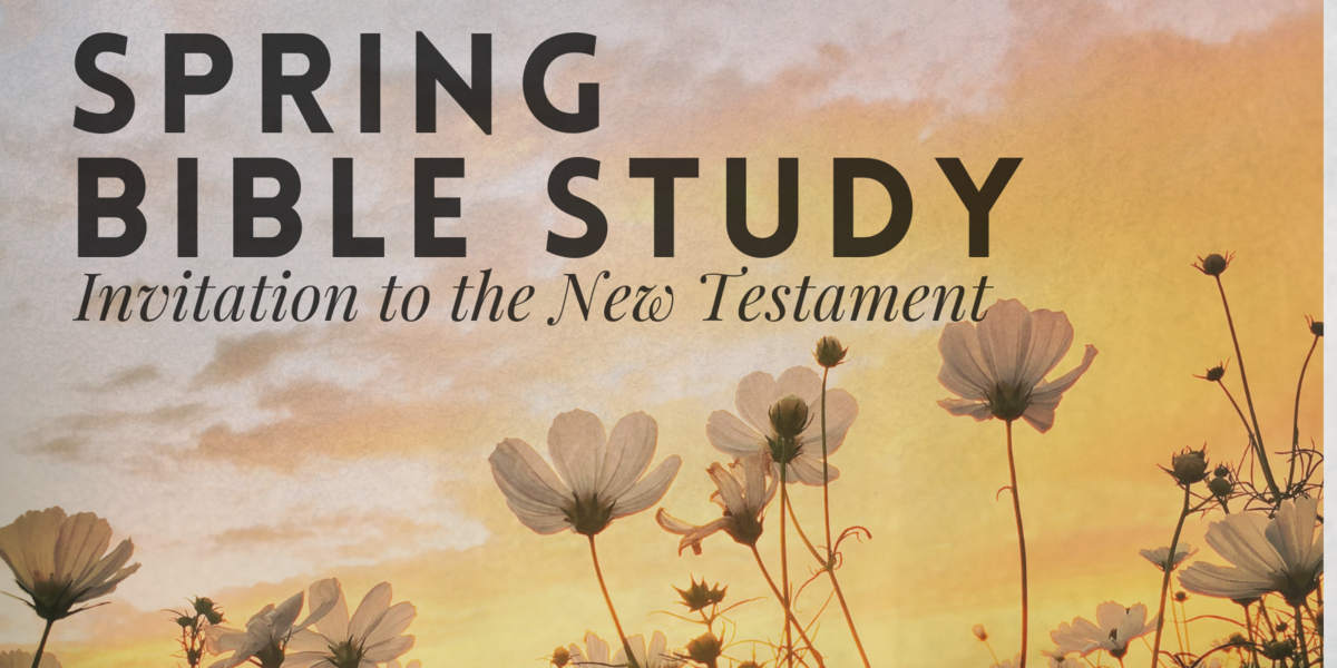 Spring Bible Study | Leander United Methodist Church