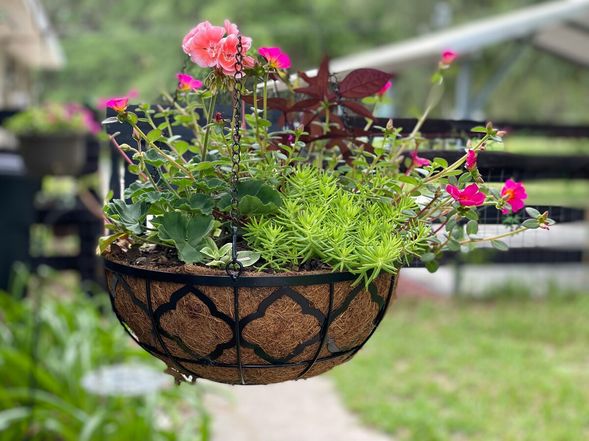 Hanging basket orders 2025 | St. George's Anglican Church, Cadboro Bay