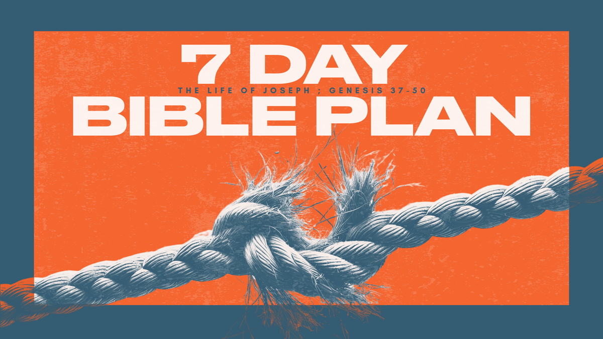 7-Day Bible Reading Plan on the life of Joseph | Breaking Point ...