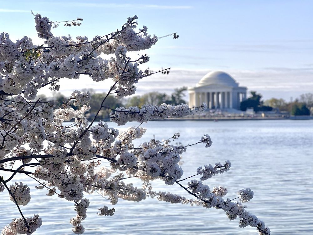 March 28, 2025 Devotion | Union Hill Baptist Church