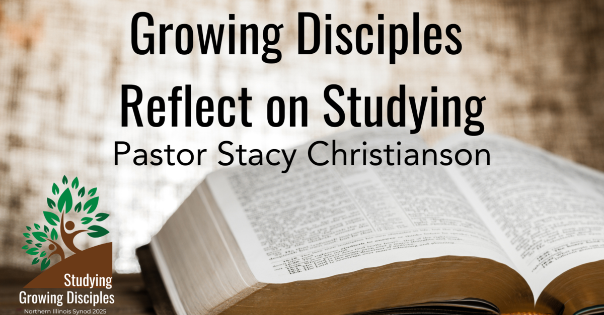 Growing Disciples Reflect on Studying | Growing Disciples Start With ...