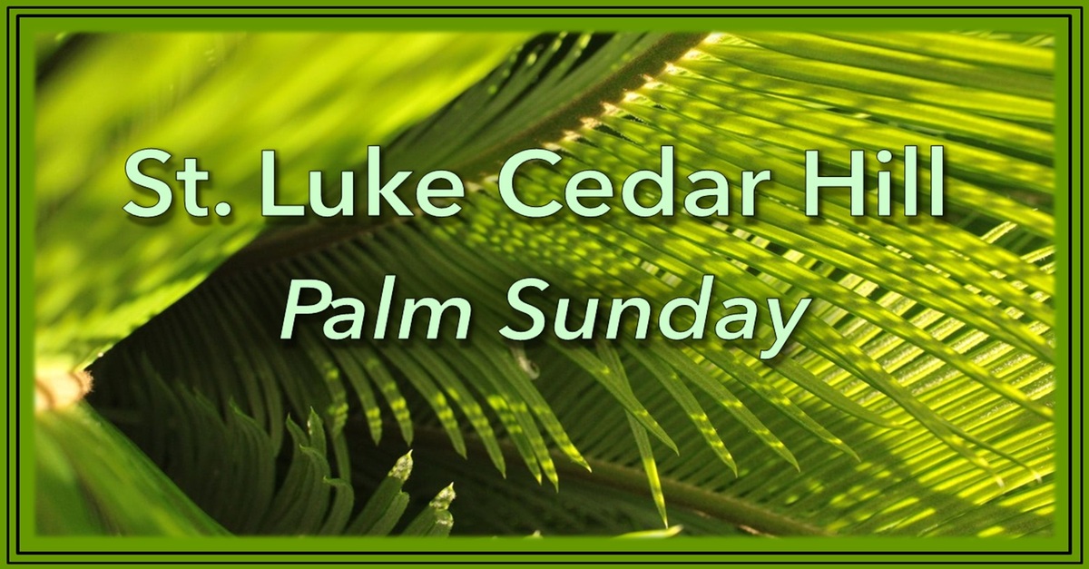 A Video of Sunday's 10 am Service is Now Available | St. Luke Cedar ...