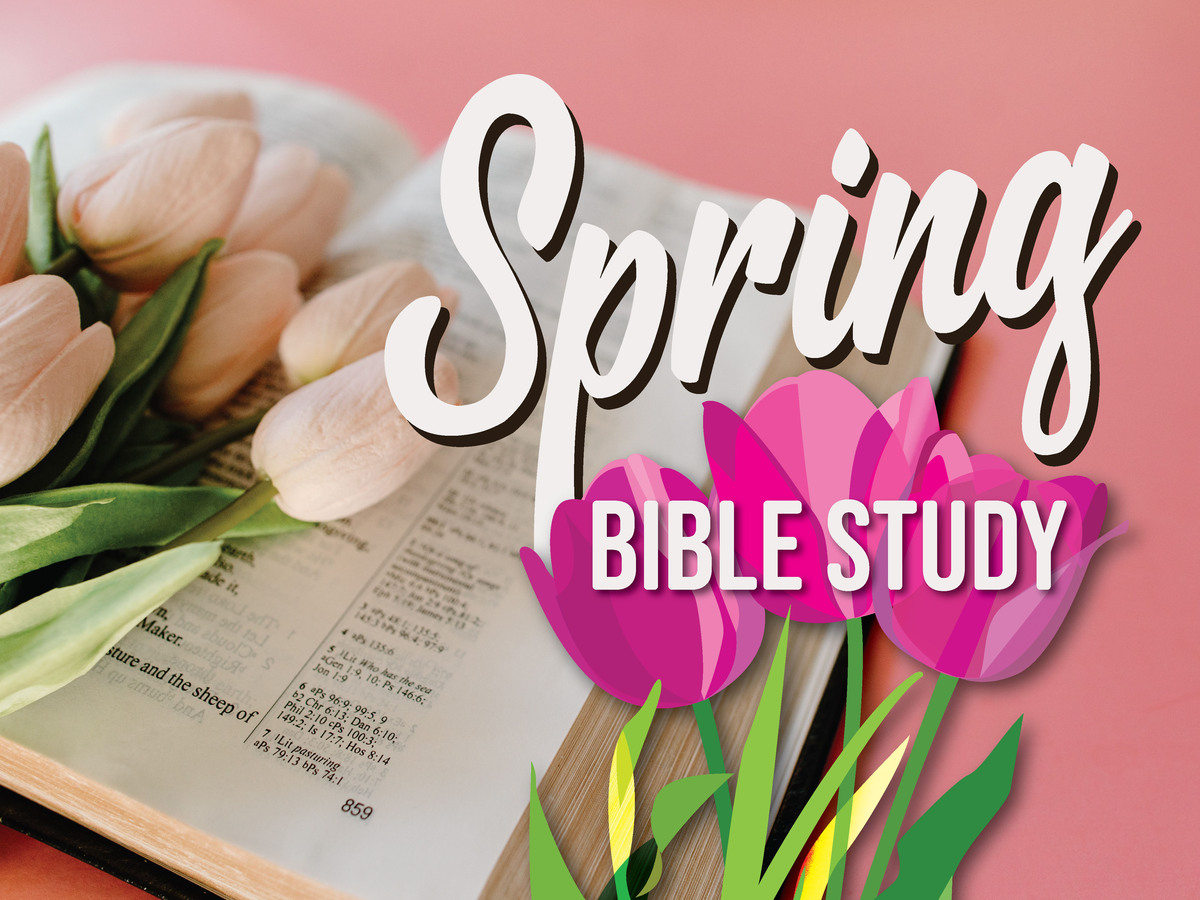 Spring Bible Study | St. Matthew United Methodist Church Weston WV