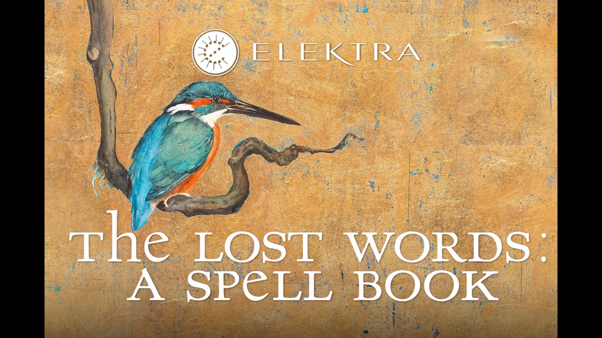 The Lost Words: A Spell Book | Concerts | Christ Church Cathedral