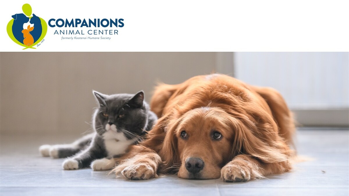 Pet Love and Service Project | Youth Ed | Unity Center of Spiritual Growth