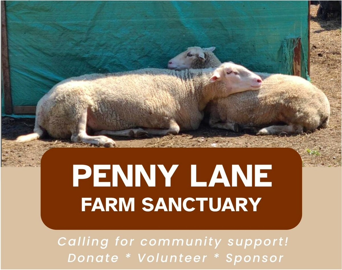 Penny Lane Farm Sanctuary | Grace Presbyterian Church
