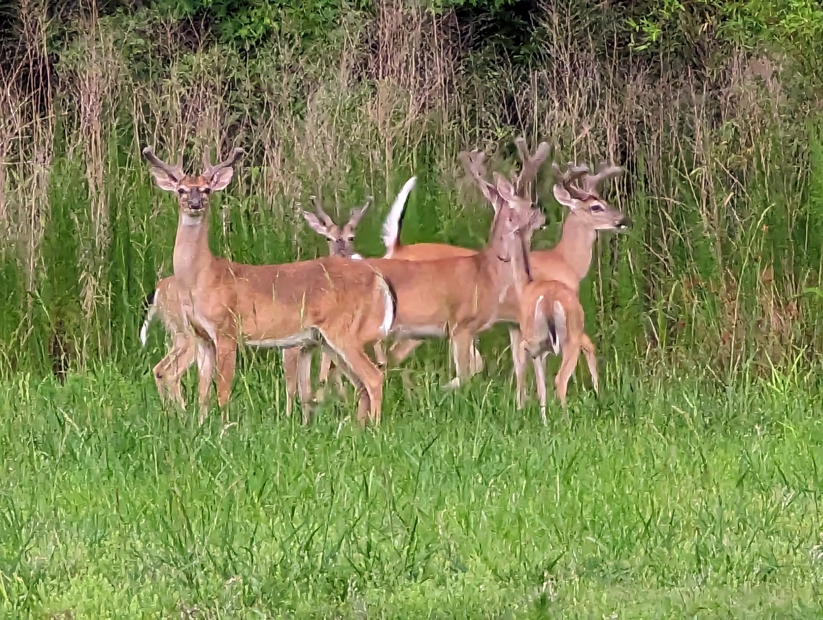 On being a part of all that ever was | Unitarian Universalist ...