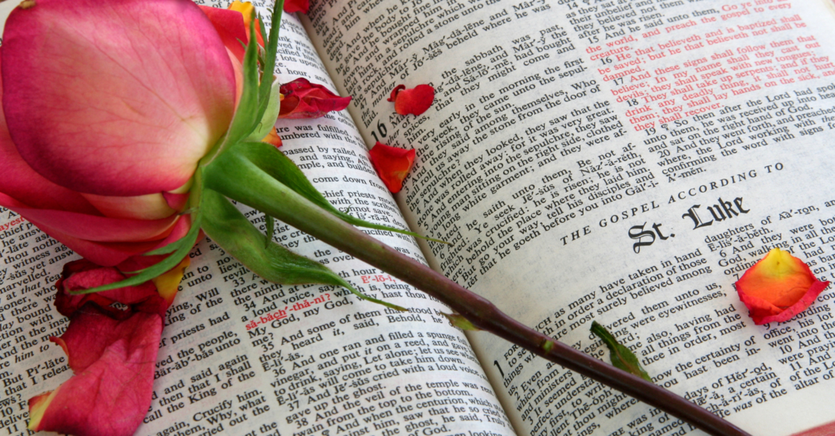 Lectio Divina | St. Andrew’s United Church