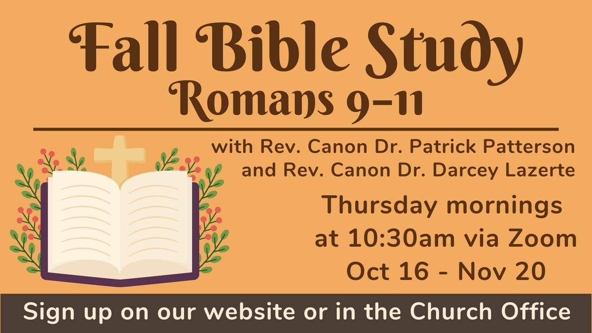 Fall Bible Study: Romans 9–11 | Studies | St. Jude’s Church