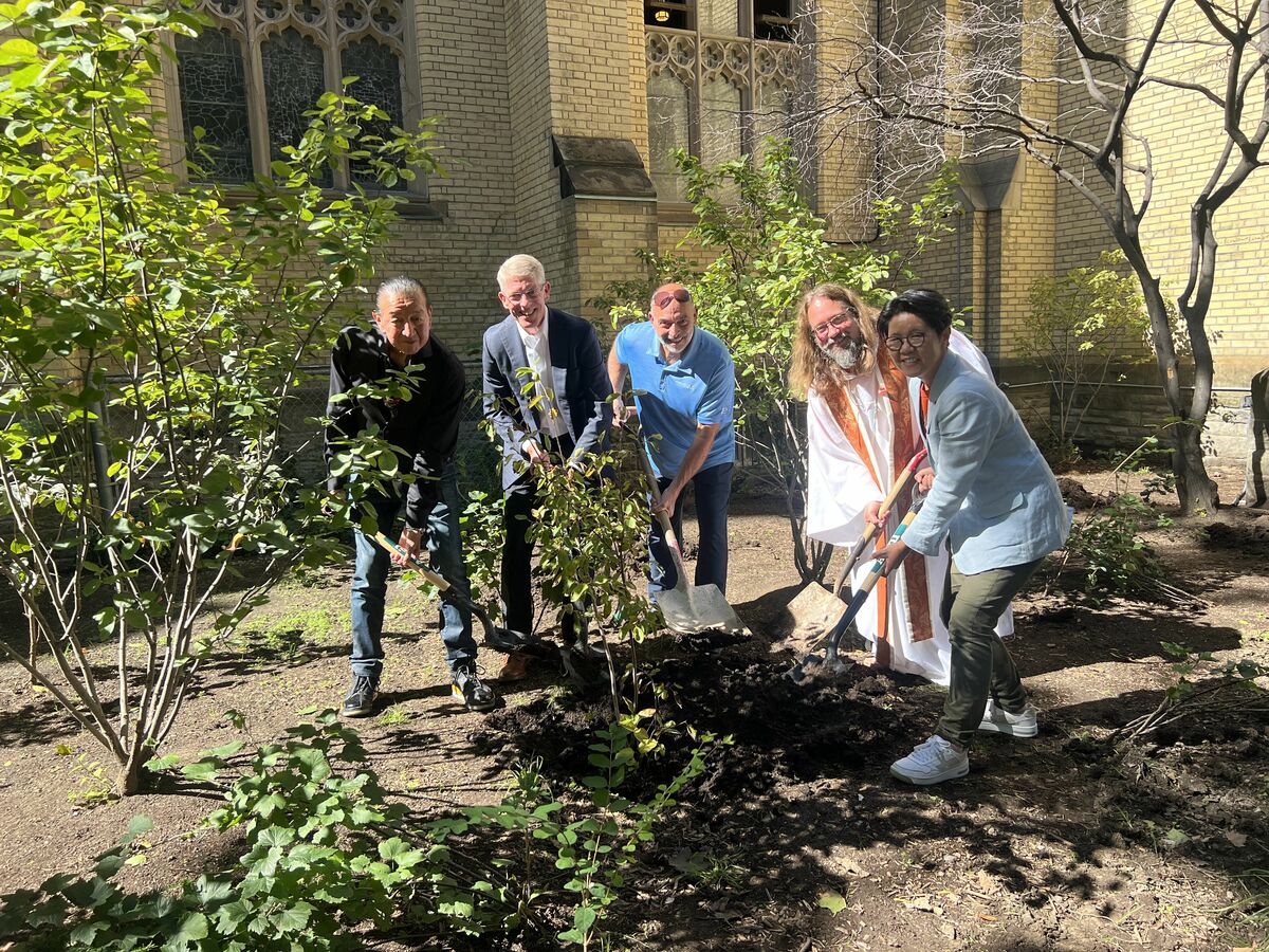 New green space officially opens for downtown Toronto residents | Met's ...
