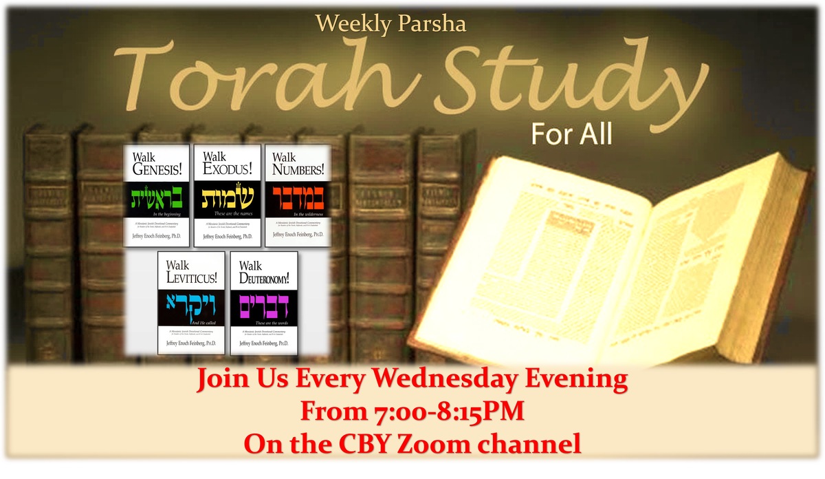THE TORAH CYCLE BEGINS - WEDNESDAYS AT 7PM ON ZOOM! | Congregation Beth ...
