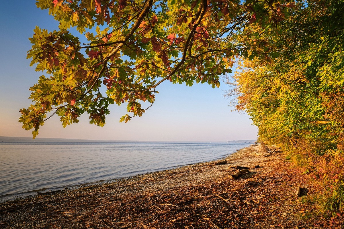 October 24, 2025 Devotion | Union Hill Baptist Church