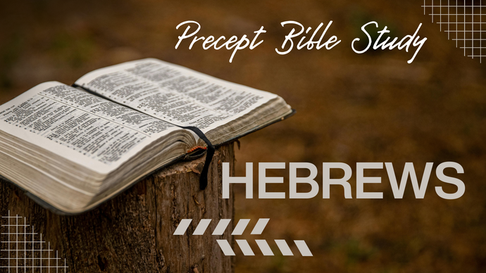 Precept Studies | Rowland Springs Baptist Church