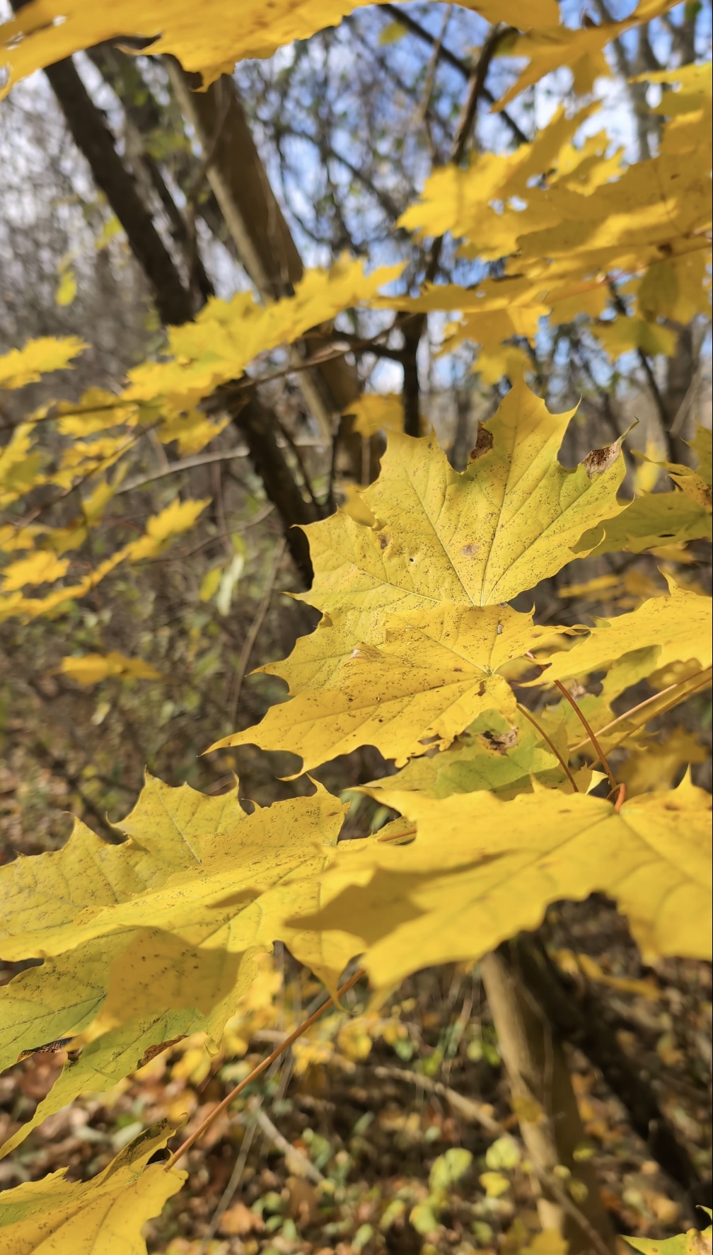 Passing the Peace - November 5, 2025 | Glen Morris United Church